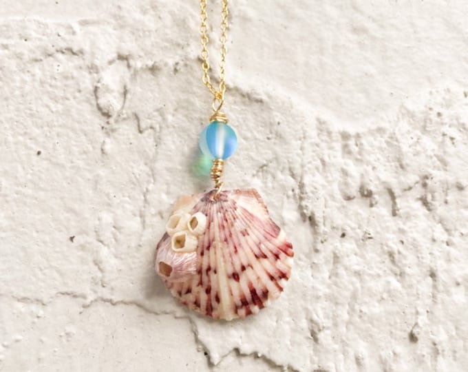 The Isla Real Handmade Seashell With Barnacles Necklace - Etsy