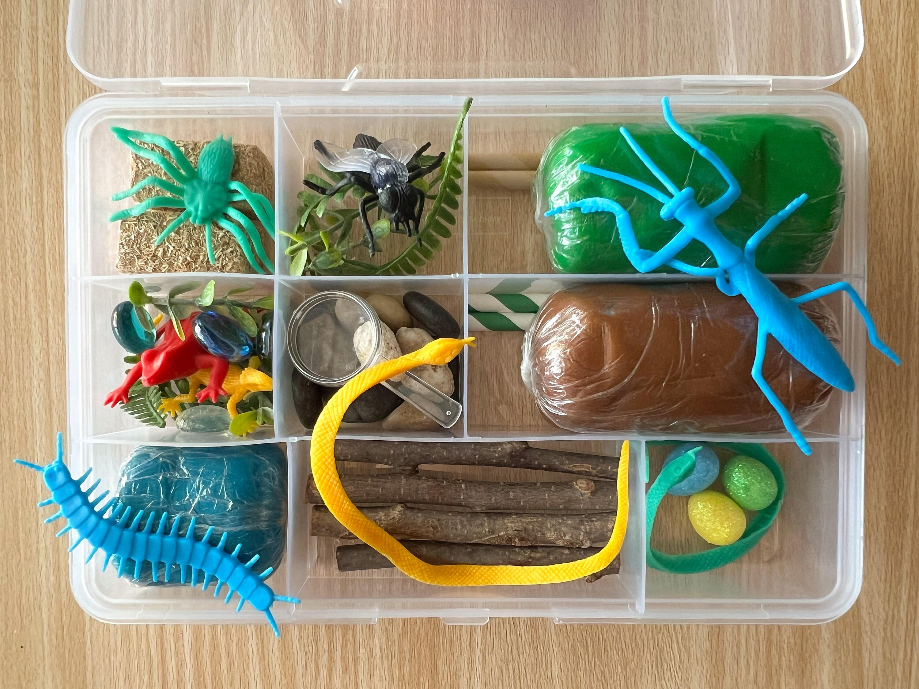 Creepy Crawlies Playdough Kit, Bug Playdough Kit, Sensory Kit, Playdoh Kit - Etsy