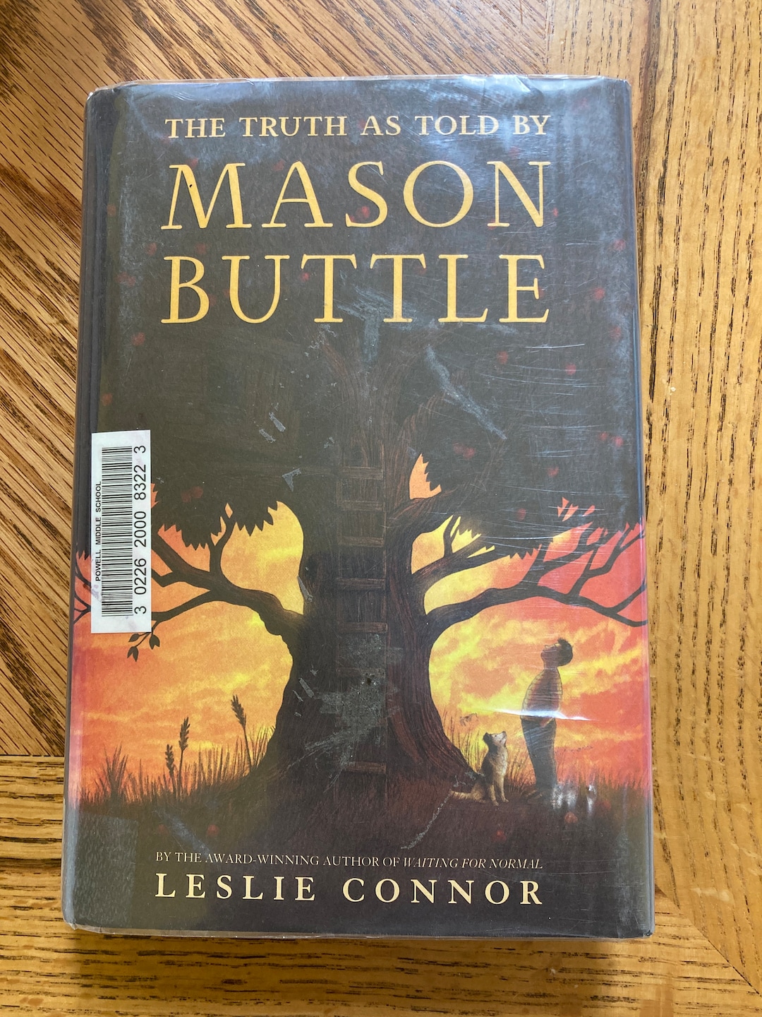 The Truth as Told by Mason Buttle by Leslie Connor- Hardcover - Etsy