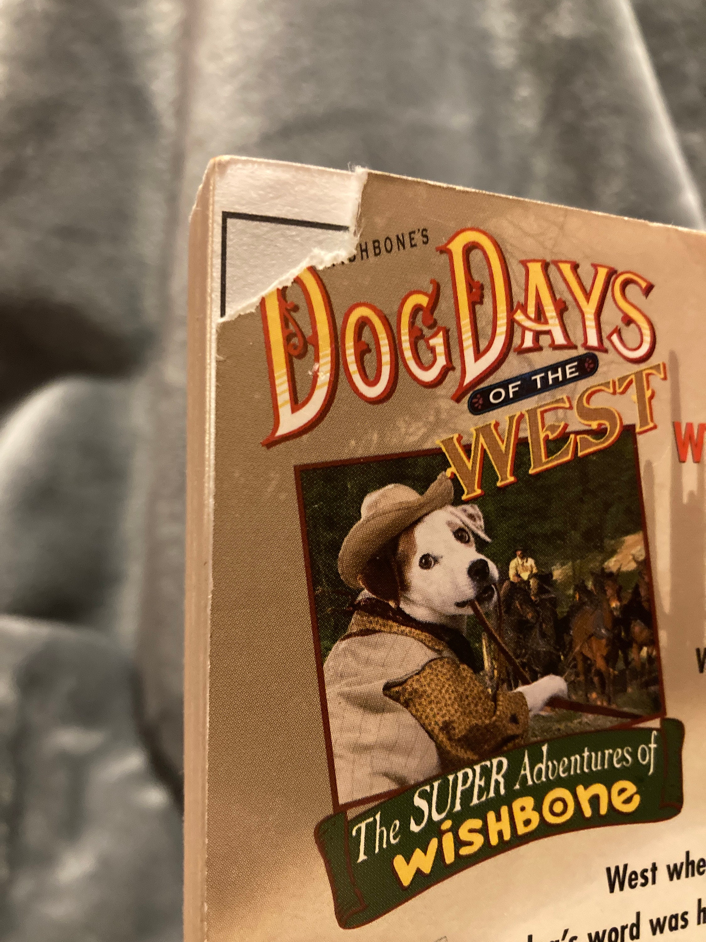 Wishbones Dog Days of the West by Vivian Sathre Paperback - Etsy