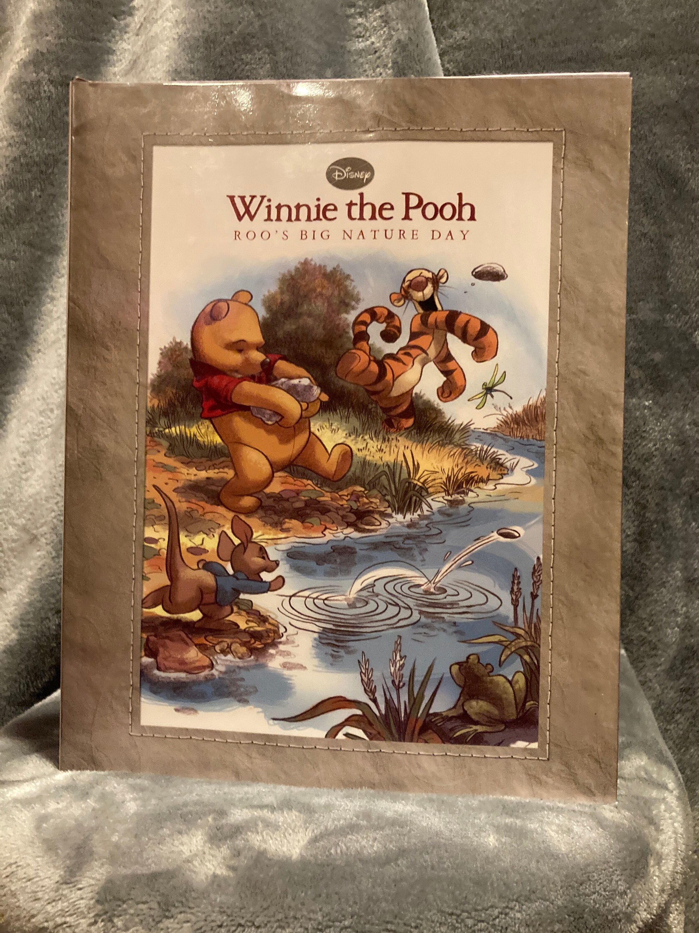 Winnie the Pooh: Roo’s Big Nature Day by K. Emily Hutta- Hardcover - Etsy