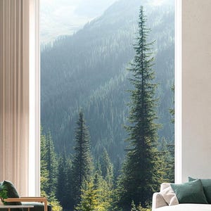 Custom Size Scenic Frosted Glass Film Featuring Towering Pine Trees ...