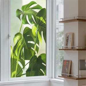 Customized Size Monstera Deliciosa Static Cling Window Film Frosted ...