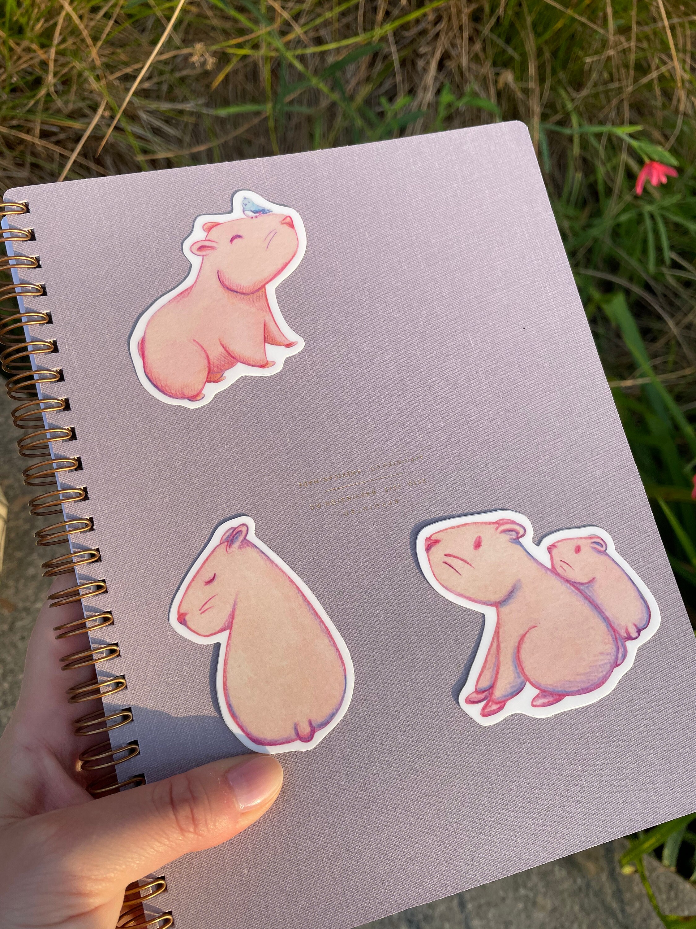 Cute Capybara Matte Vinyl Sticker Digital Art, Stickers, Capybaras ...