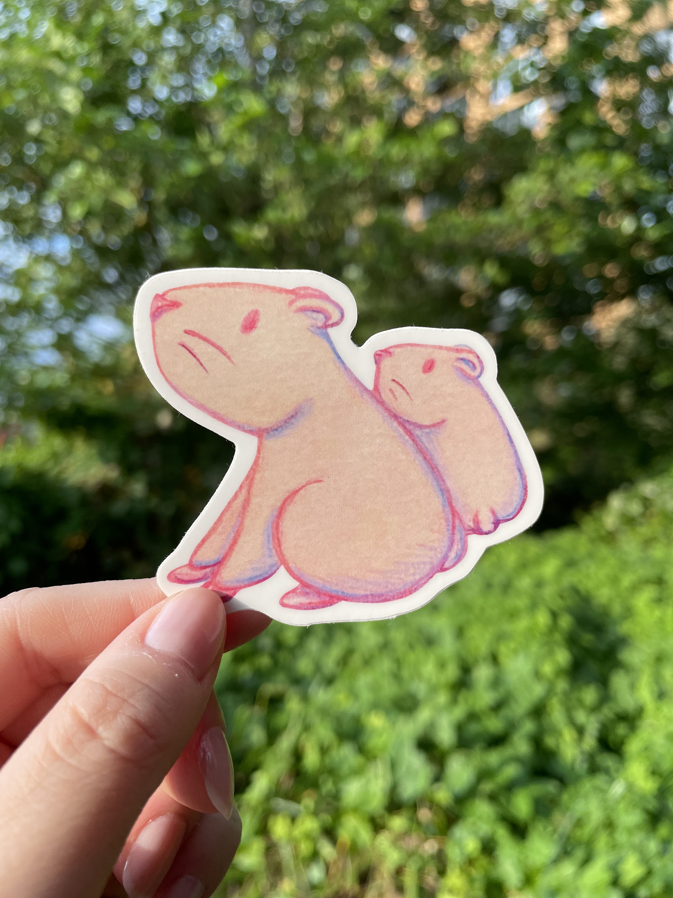 Cute Capybara Matte Vinyl Sticker Digital Art, Stickers, Capybaras ...