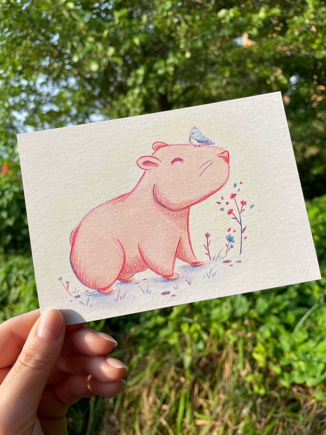 Cute Capybara Postcard Art Print Decoration Capybaras - Etsy
