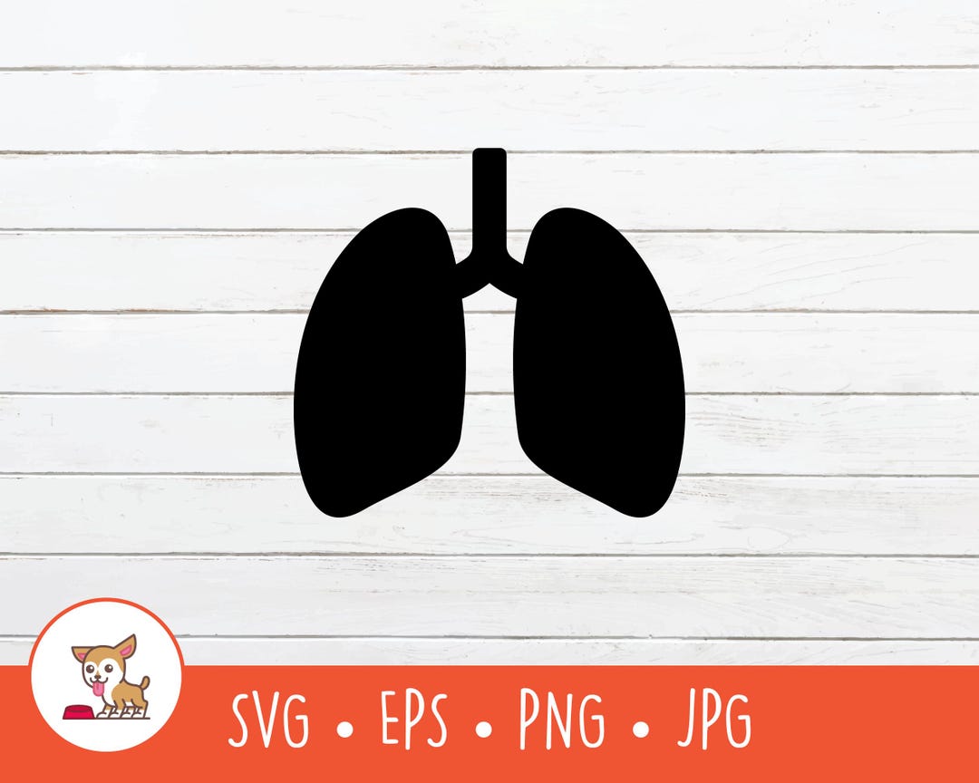Lungs SVG, Lungs Clipart, Vector Lungs Icon Cut File for Cricut, PNG ...