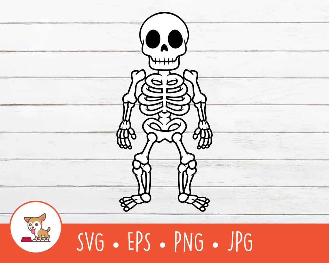 Skeleton Clipart, Skeleton SVG, Vector Skeleton Cut File for Cricut ...