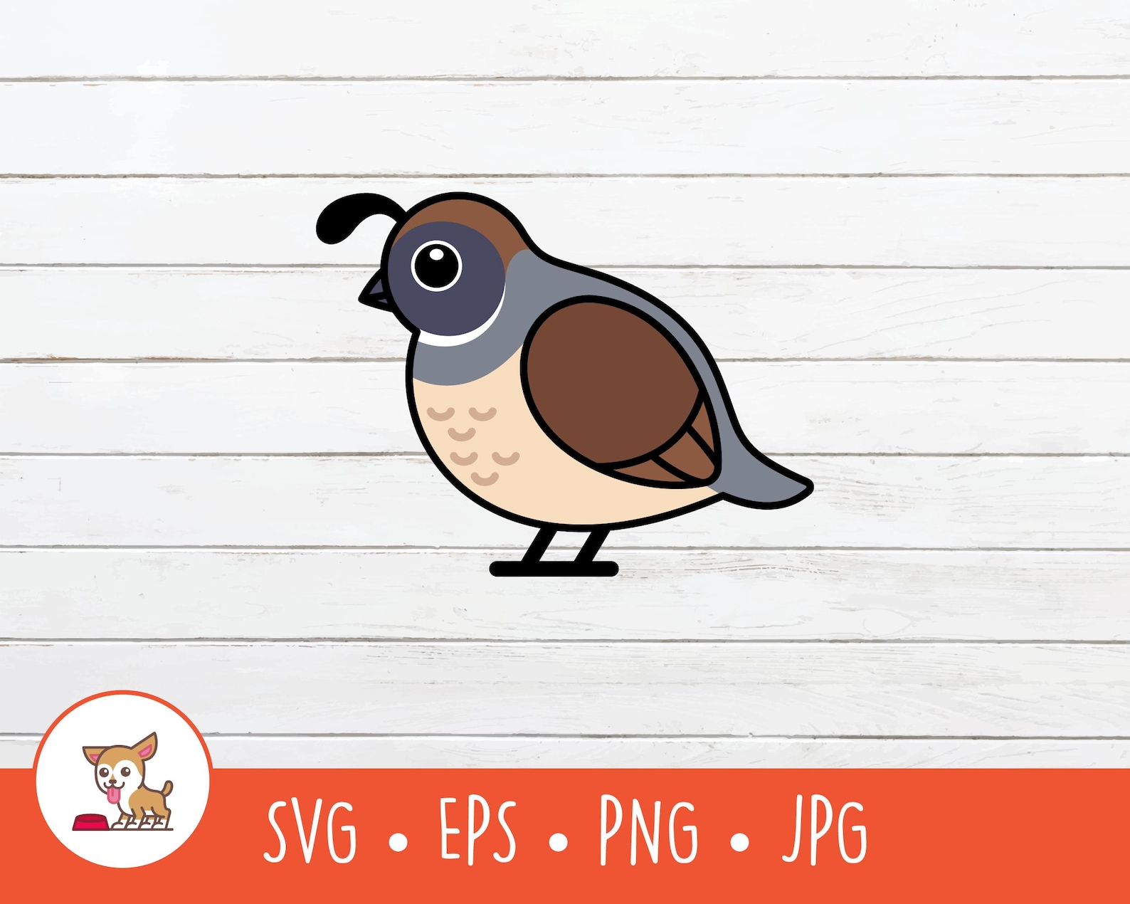 Cartoon Quail Clipart, Quail SVG, Vector Quail Cut File for Cricut, PNG ...