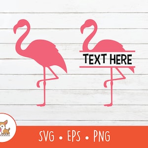 Flamingo SVG, Split Flamingo Name Frame, Flamingo Clipart, Vector ...