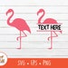 Flamingo SVG, Split Flamingo Name Frame, Flamingo Clipart, Vector ...