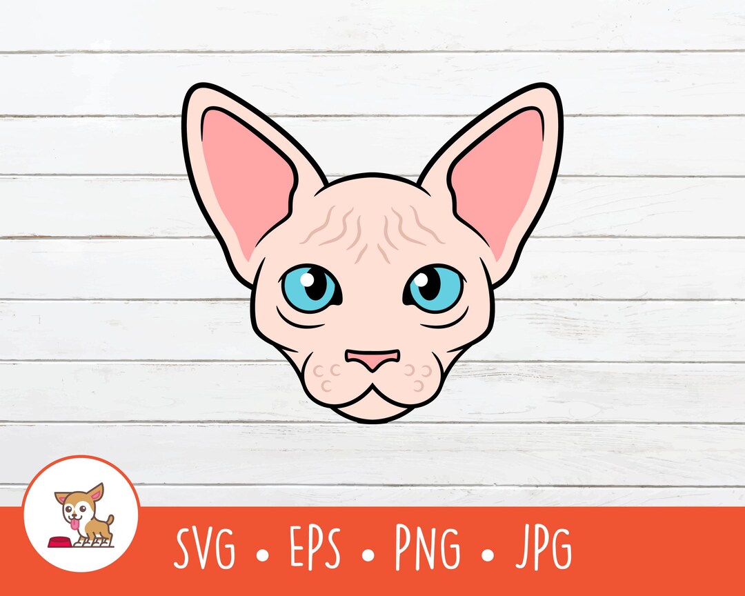 Cartoon Sphynx Cat Clipart, Sphynx Cat SVG, Vector Sphynx Cat Cut File ...