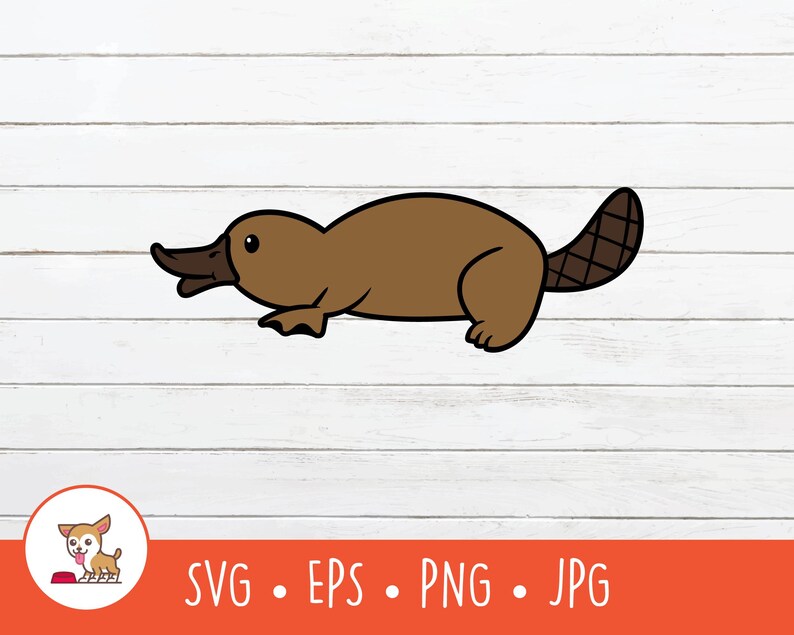 Cartoon Platypus Clipart, Platypus SVG, Vector Platypus Cut File for ...