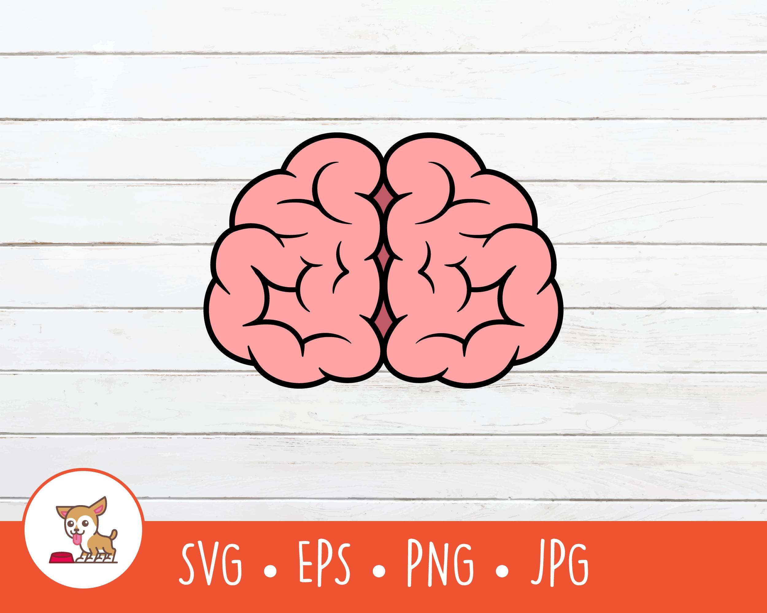 Cartoon Brain Clipart, Brain SVG, Vector Brain Cut File for Cricut, PNG ...