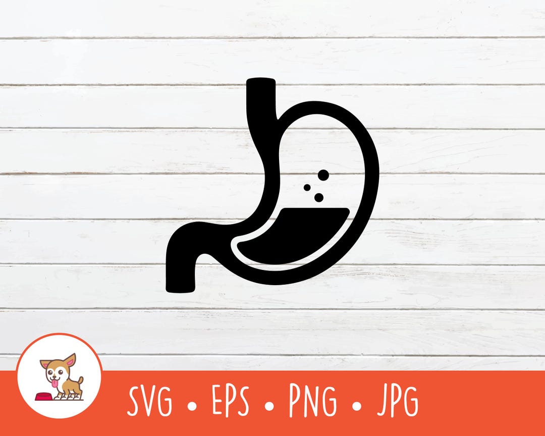 Stomach SVG, Stomach Clipart, Vector Digestion Icon Cut File for Cricut ...