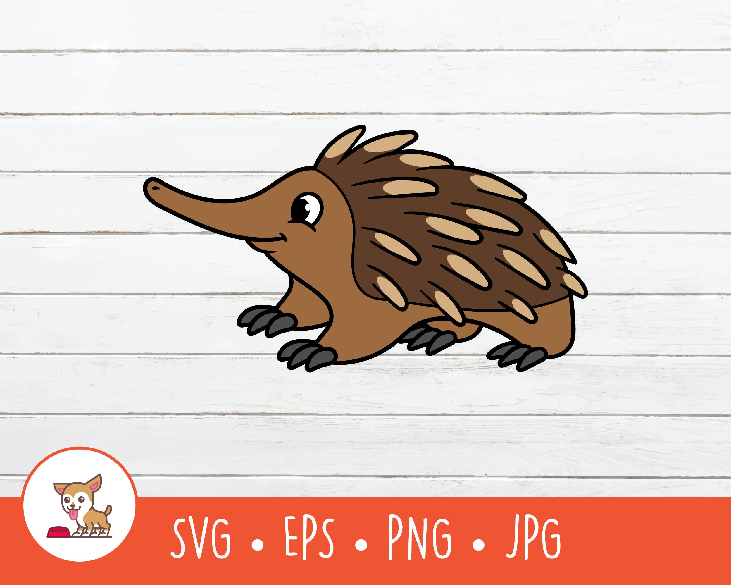 Cartoon Echidna Clipart, Echidna SVG, Vector Echidna Cut File for Cricut, PNG, EPS, Instant ...