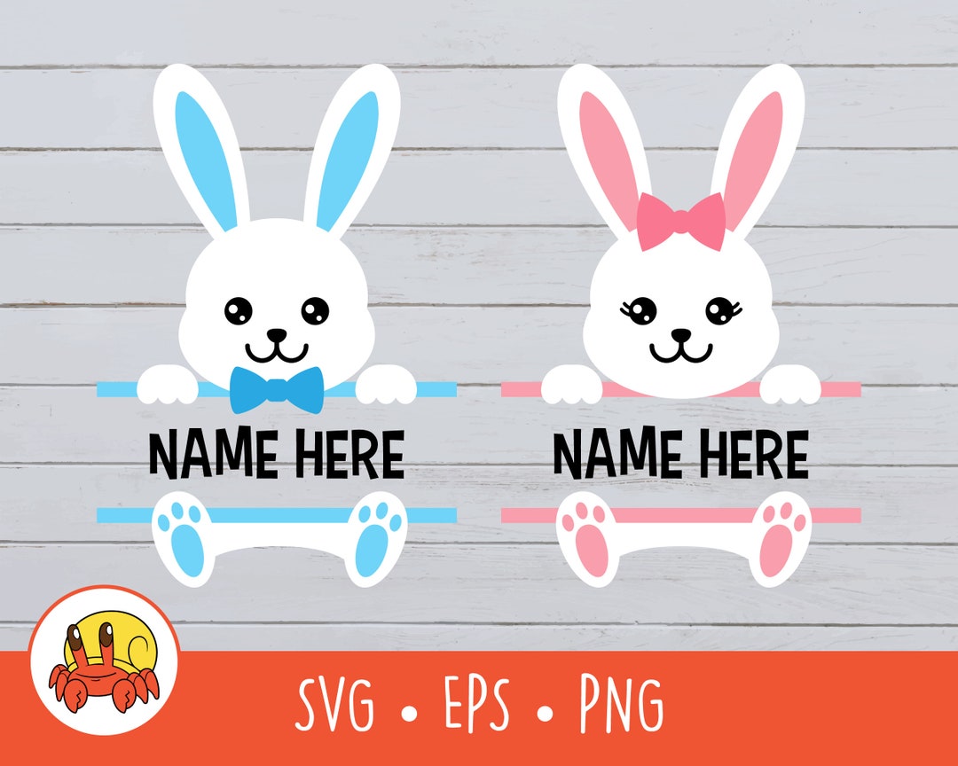 Bunny Rabbit SVG, Split Bunny Name Frame, Vector Rabbit Clipart, Rabbit ...