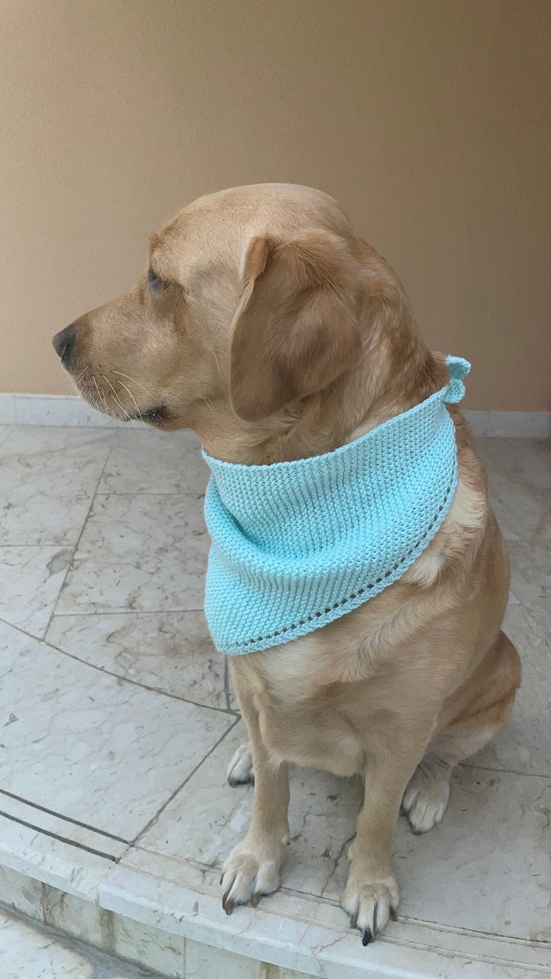 PDF Knitting Pattern - Pet Bandana - Easy Knitting Pattern - Cat & Dog ...