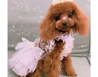 Cat Bride Costume - Etsy