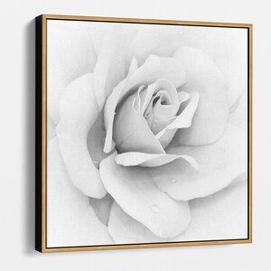 Elegant White Rose Canvas Print | Minimalist Floral Wall Art ...