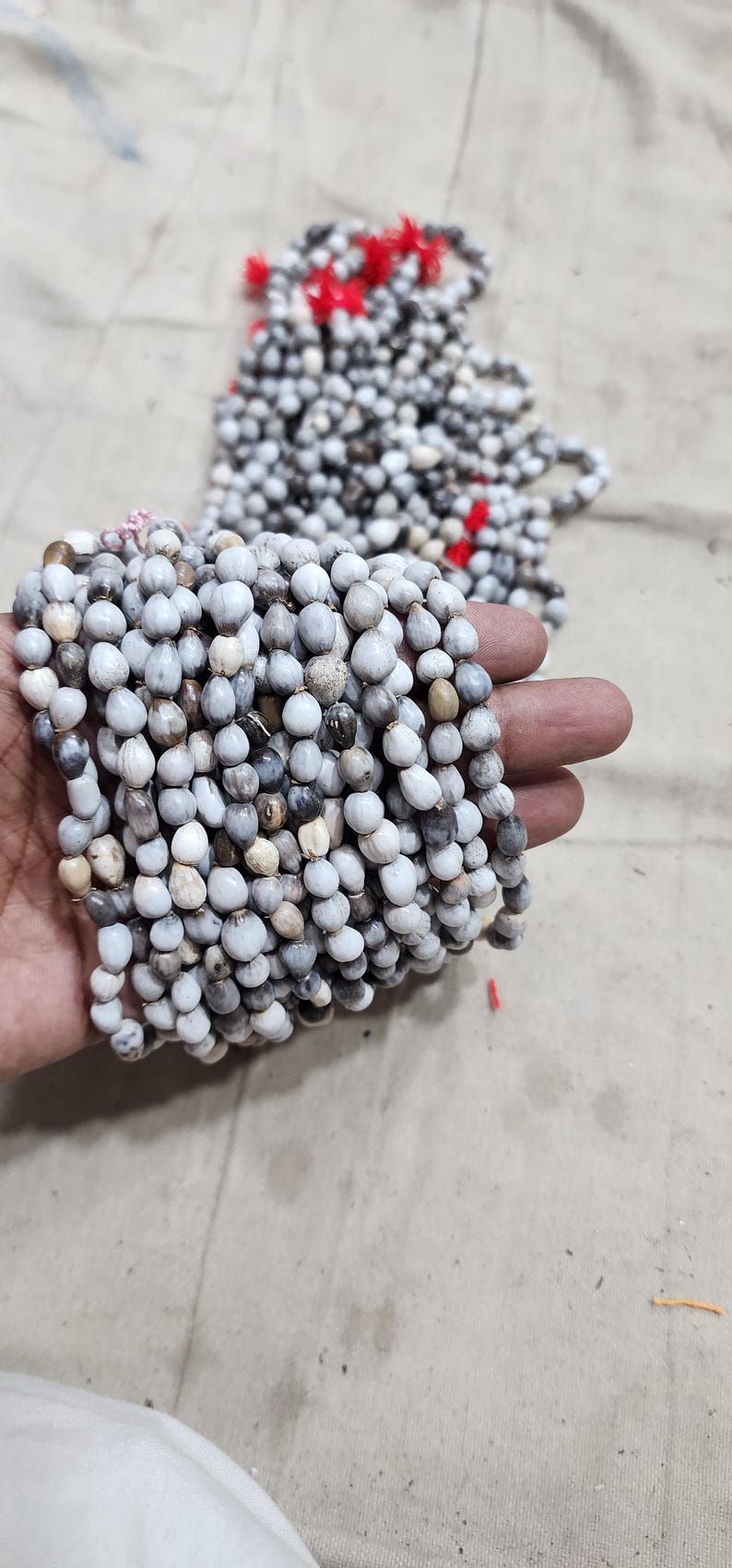 Authentic Vaijayanti Mala From Vrindavan Sacred Beads for Worship and ...
