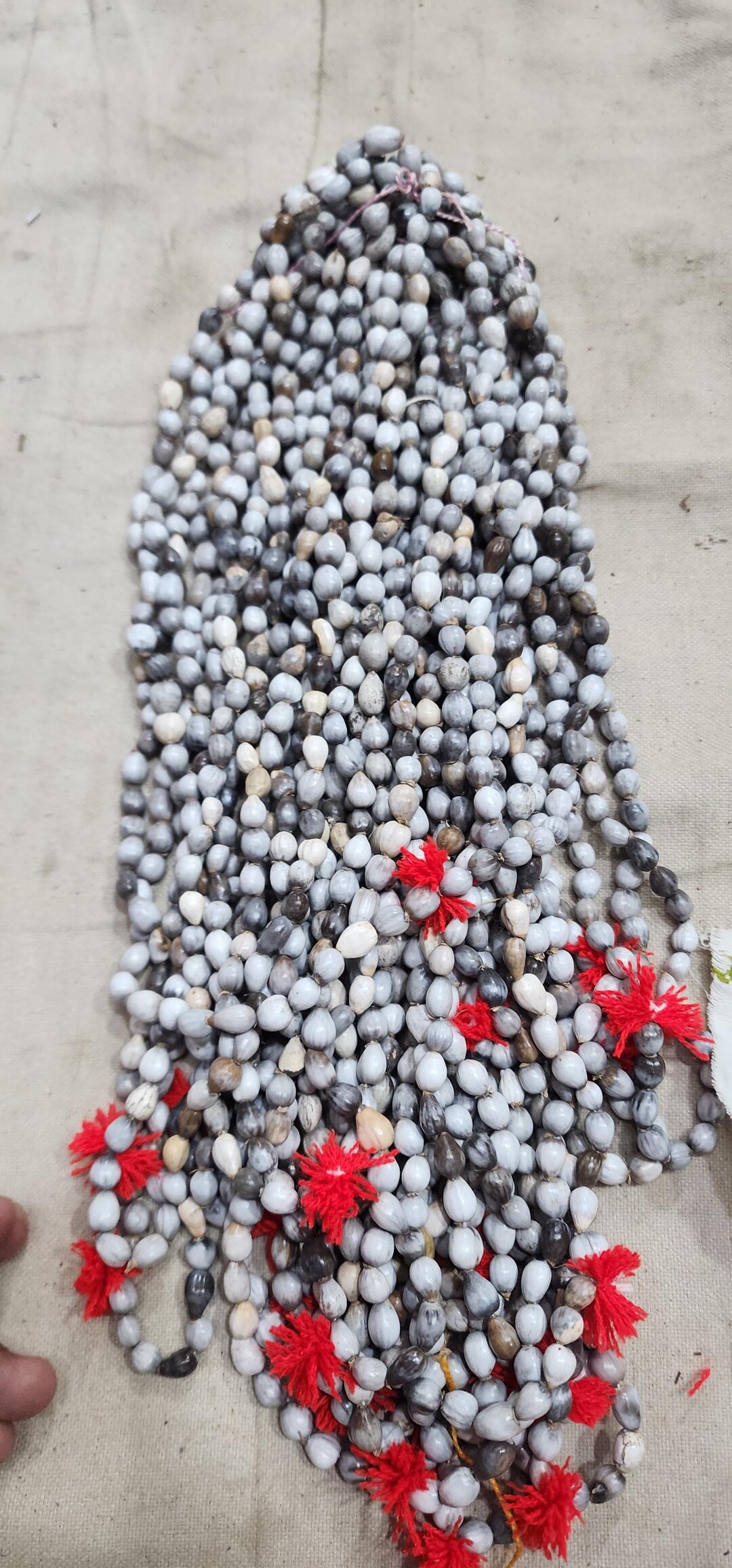 Authentic Vaijayanti Mala From Vrindavan Sacred Beads for Worship and ...