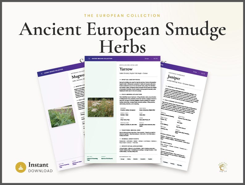 European Smudge Herb Fact Sheets for Grimoire & Green Witch (PDF) - Etsy