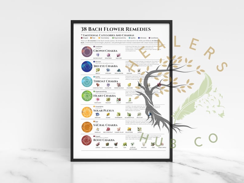 Bach Flower Essence Chakra Guide Charts: Holistic Healing Wall Art ...