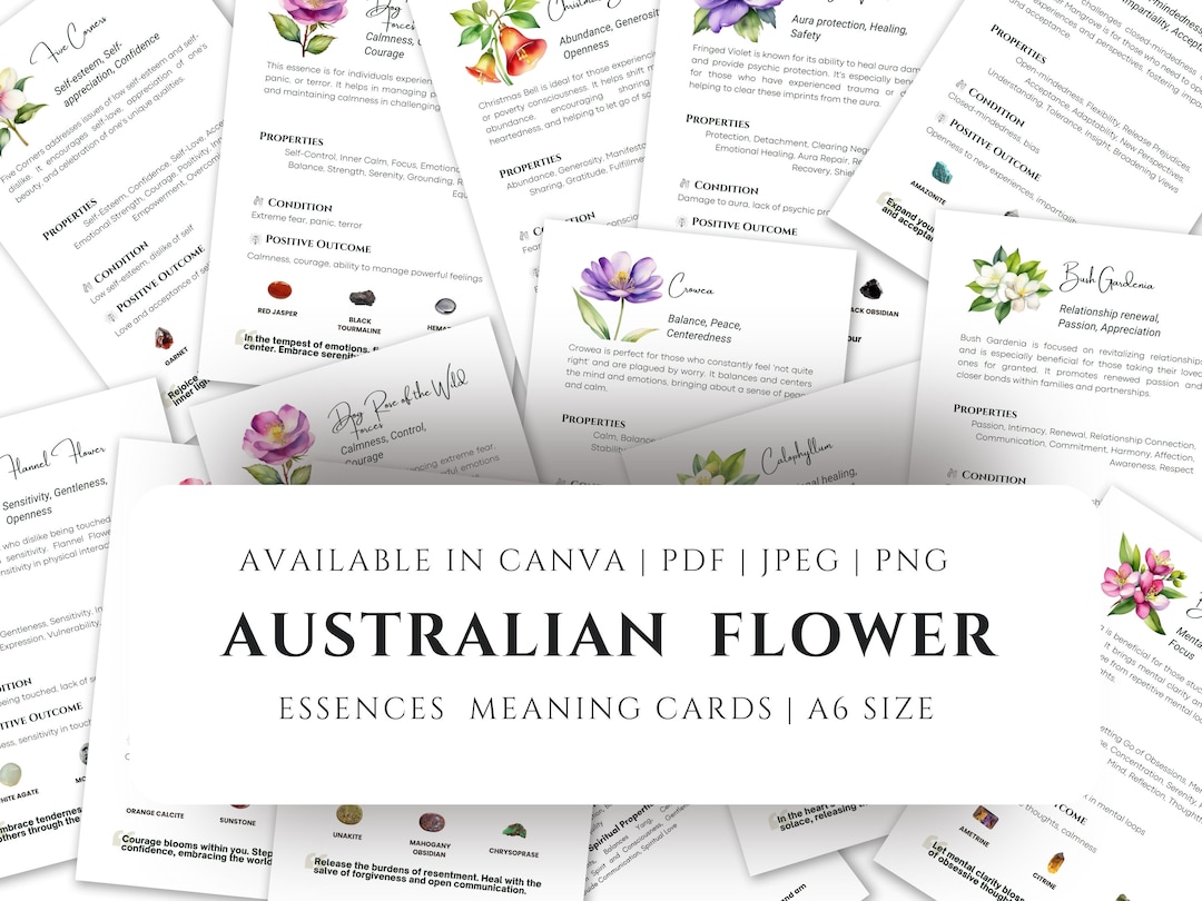 Australian Bush Flower Essences Meaning Cards: Apothecary Herbalism (A6 ...
