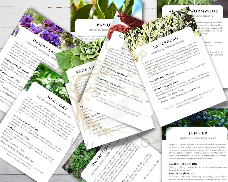 30 Herb Smudge Cards Spiritual Smudging Cards Smudging - Etsy