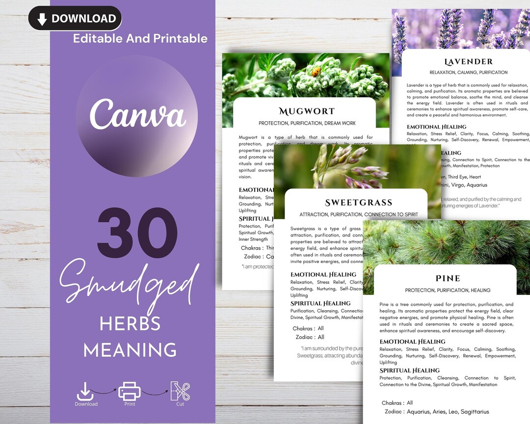 Herb Smudge Card Set: 30 Herb Meanings, Smudging Guide (digital ...