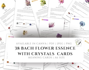 Bach Flower Divination Cards Pack - Etsy