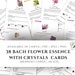 Bach Flower Cards With Crystals Bach Flower Essence Crystal - Etsy