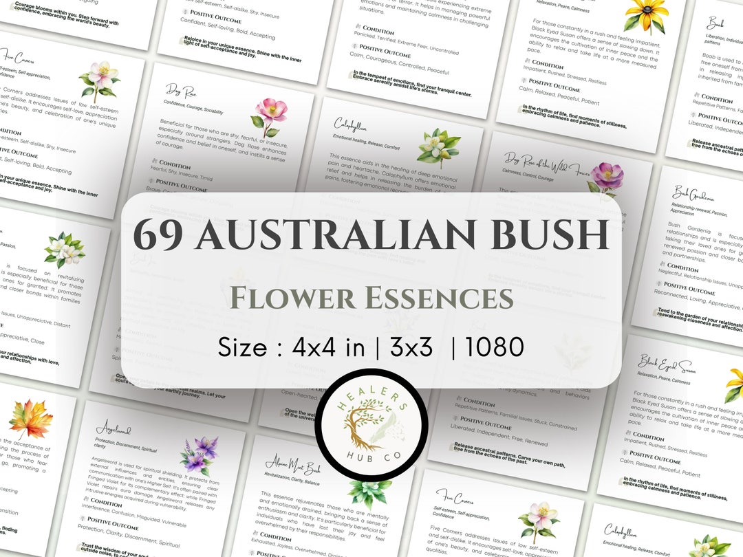 Australian Bush Flower Essences Cards: Healing Remedy Reference ...