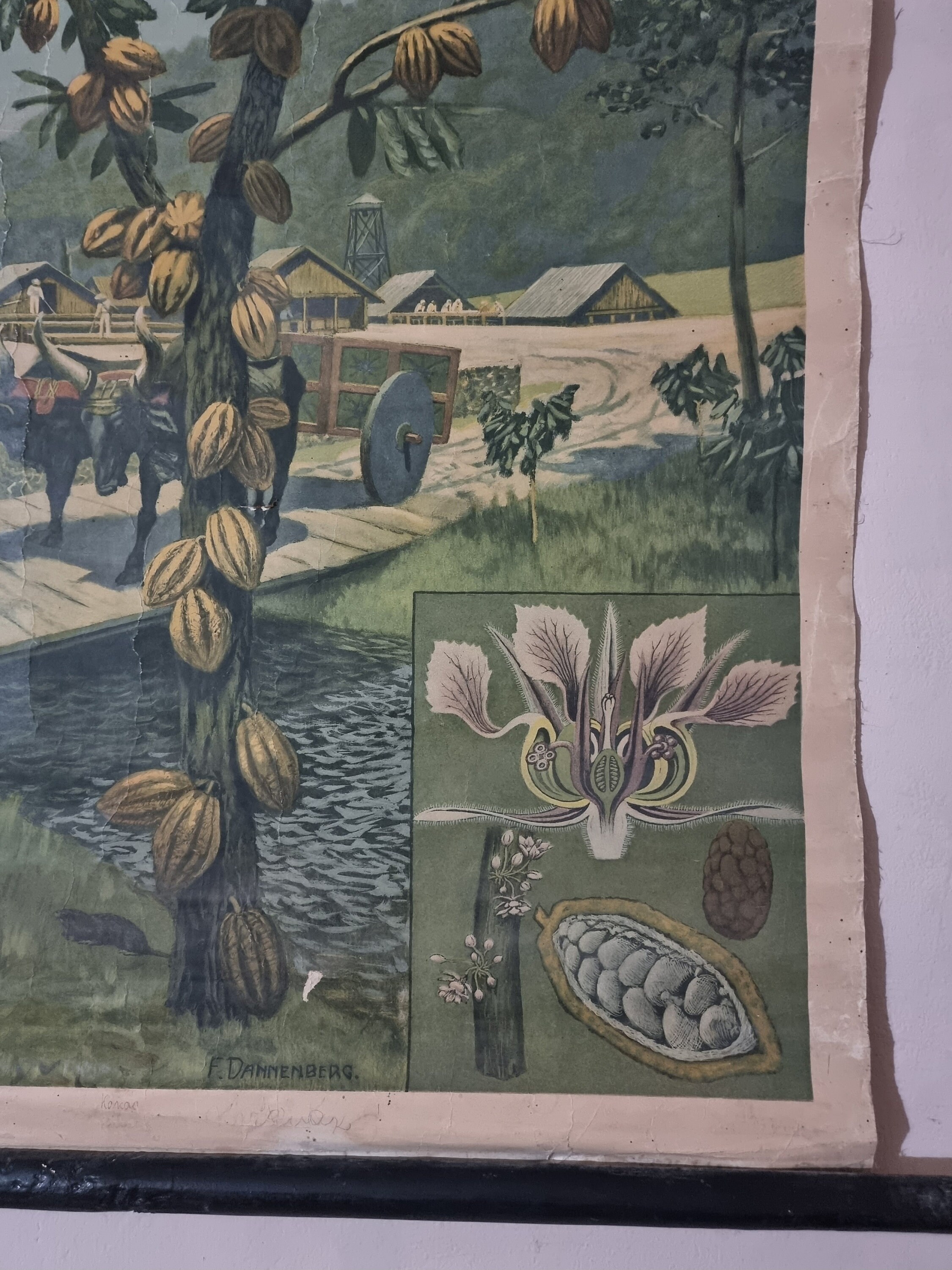 Vintage School Poster. Antique School Chart - Etsy