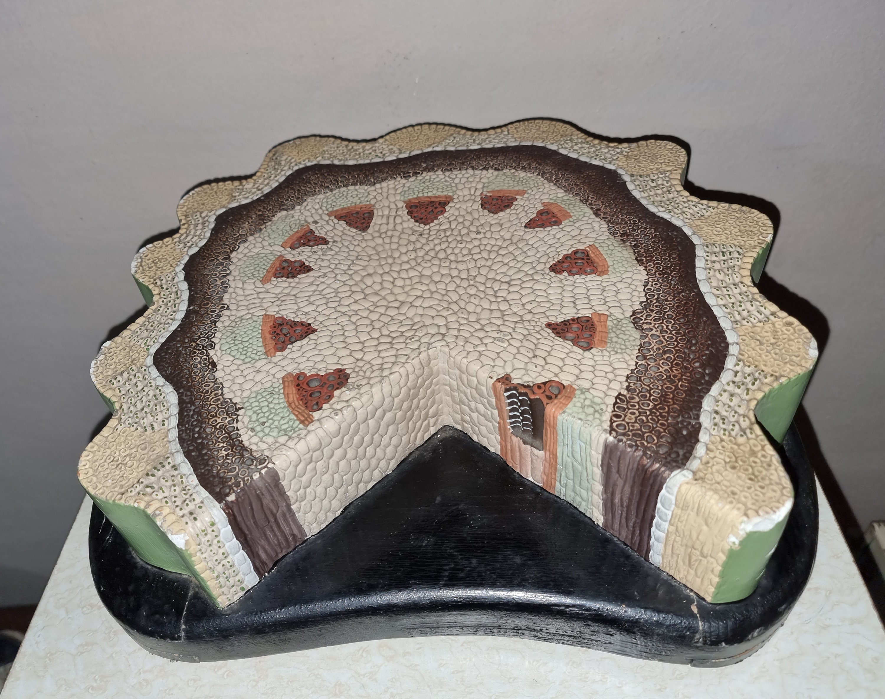 Vintage Botanical Model - Plant Anatomy - Etsy