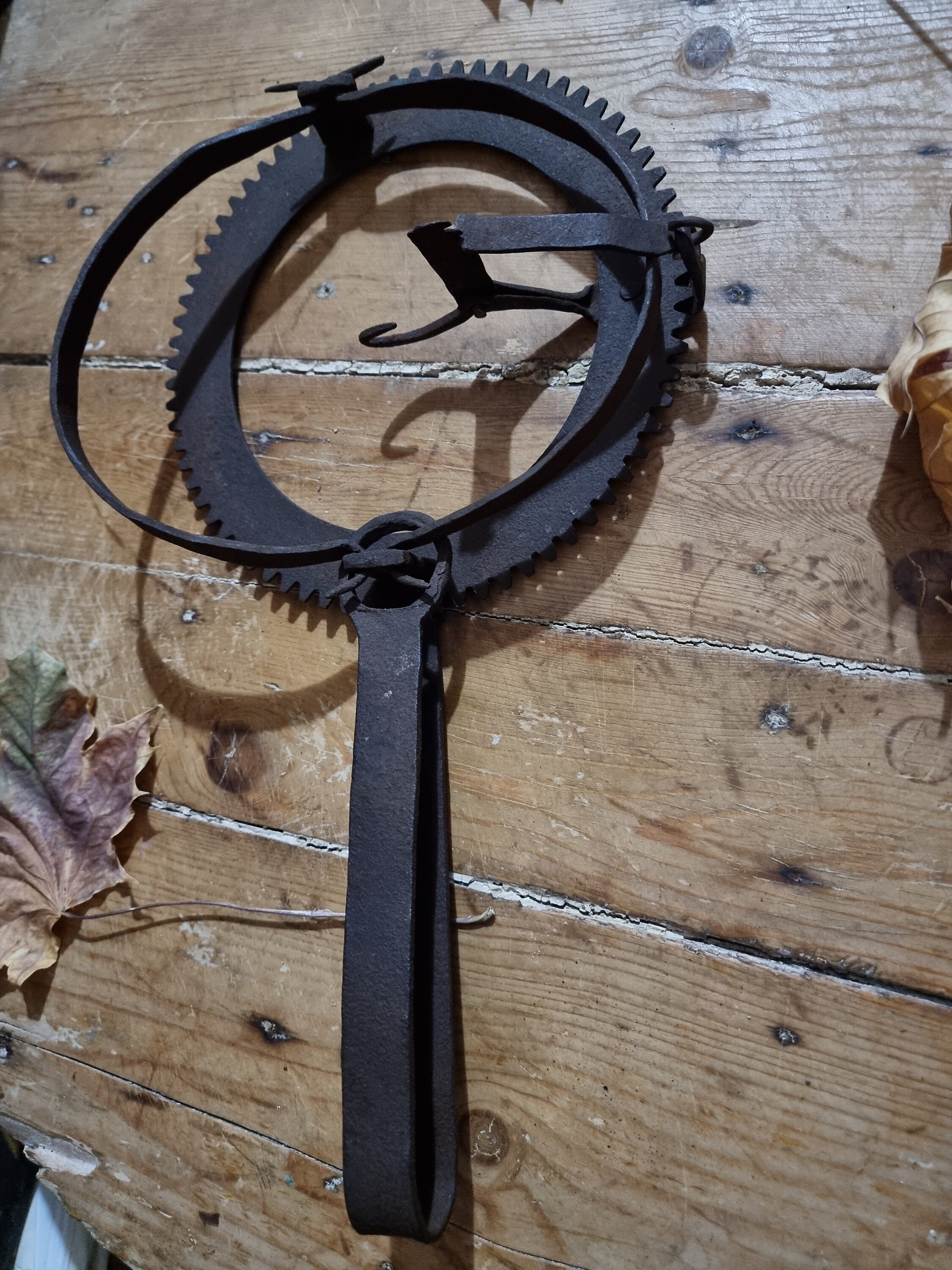 Antique Wrought Iron Wolf Trap. Iron Wrought Wolf Trap. Wrought Iron ...