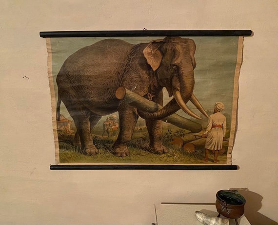 Vintage Educational Wall Chart Poster Picture - Etsy