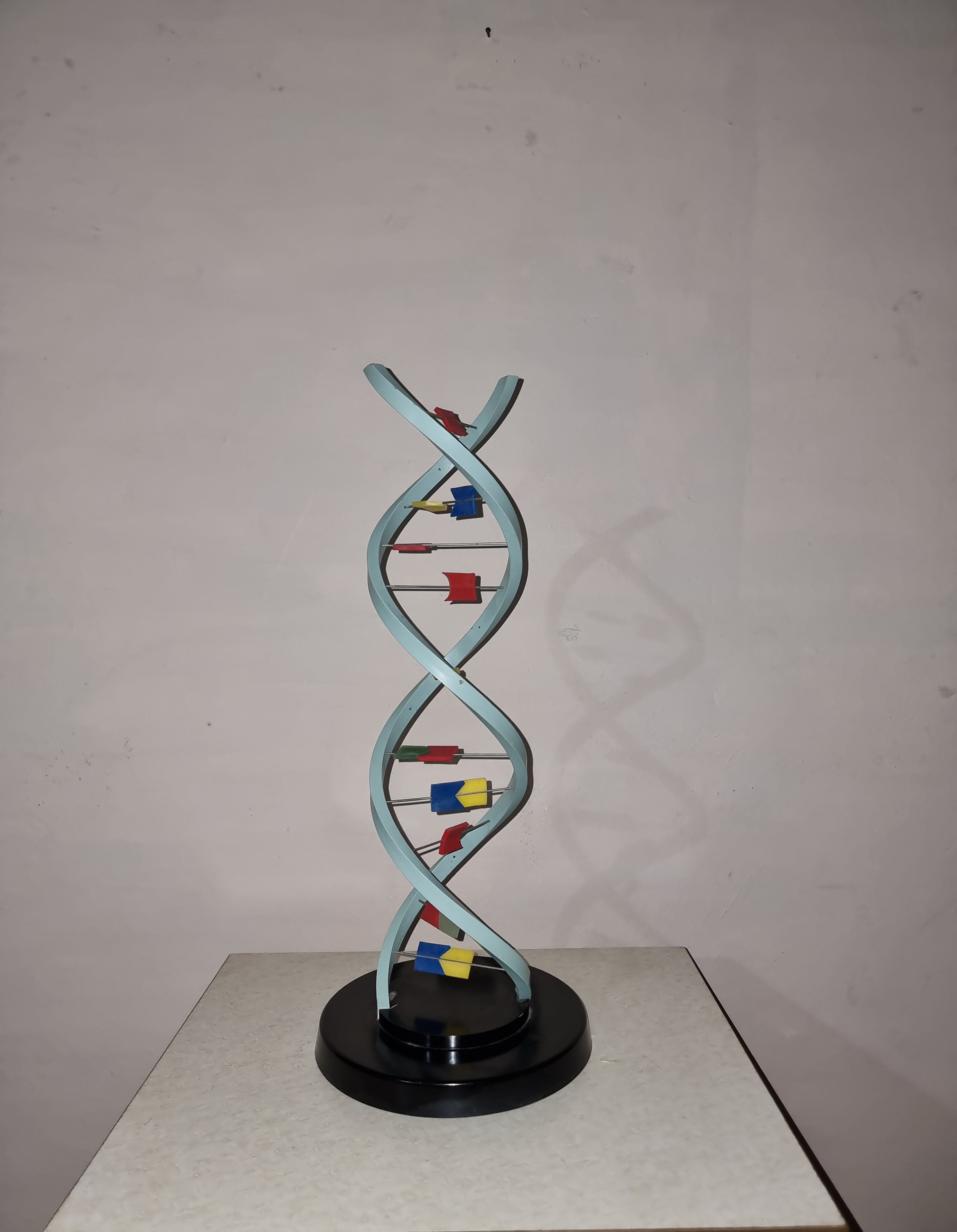 How To Make 3d Dna Models For Project
