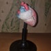 Vintage Anatomical Model of a Dog's Heart - Etsy