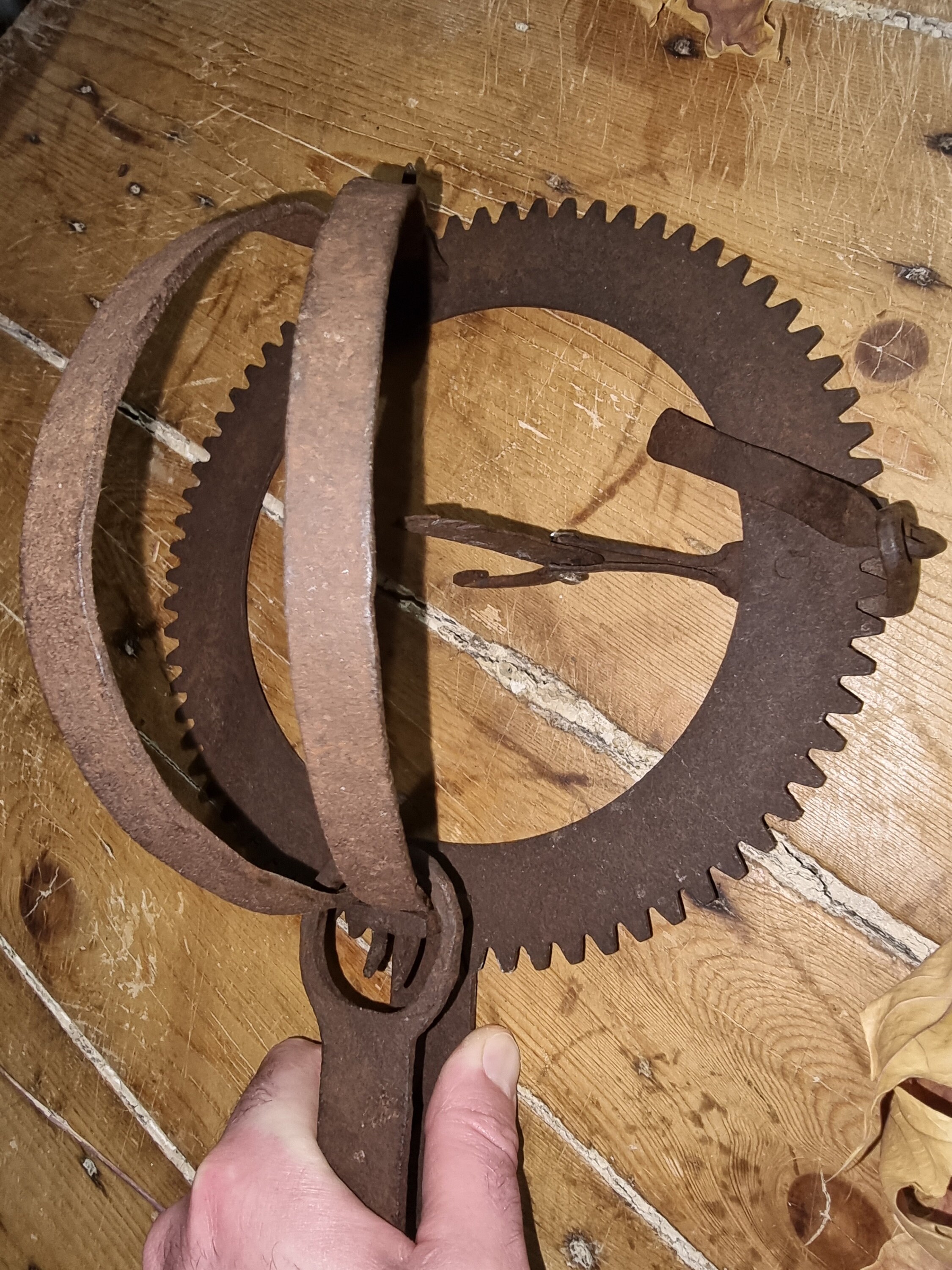 Antique Wrought Iron Wolf Trap. Iron Wrought Wolf Trap. Wrought Iron ...