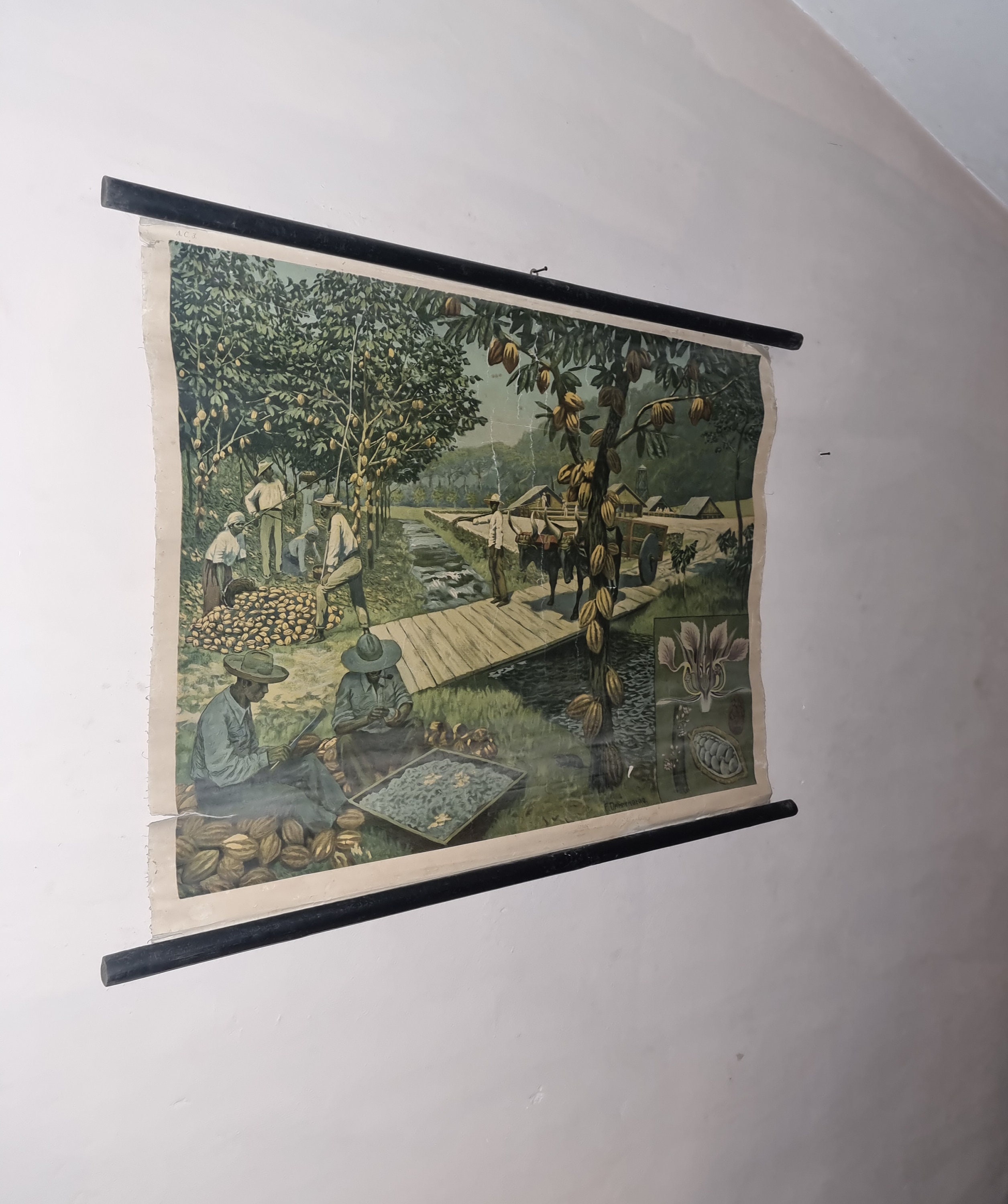 Vintage School Poster. Antique School Chart - Etsy