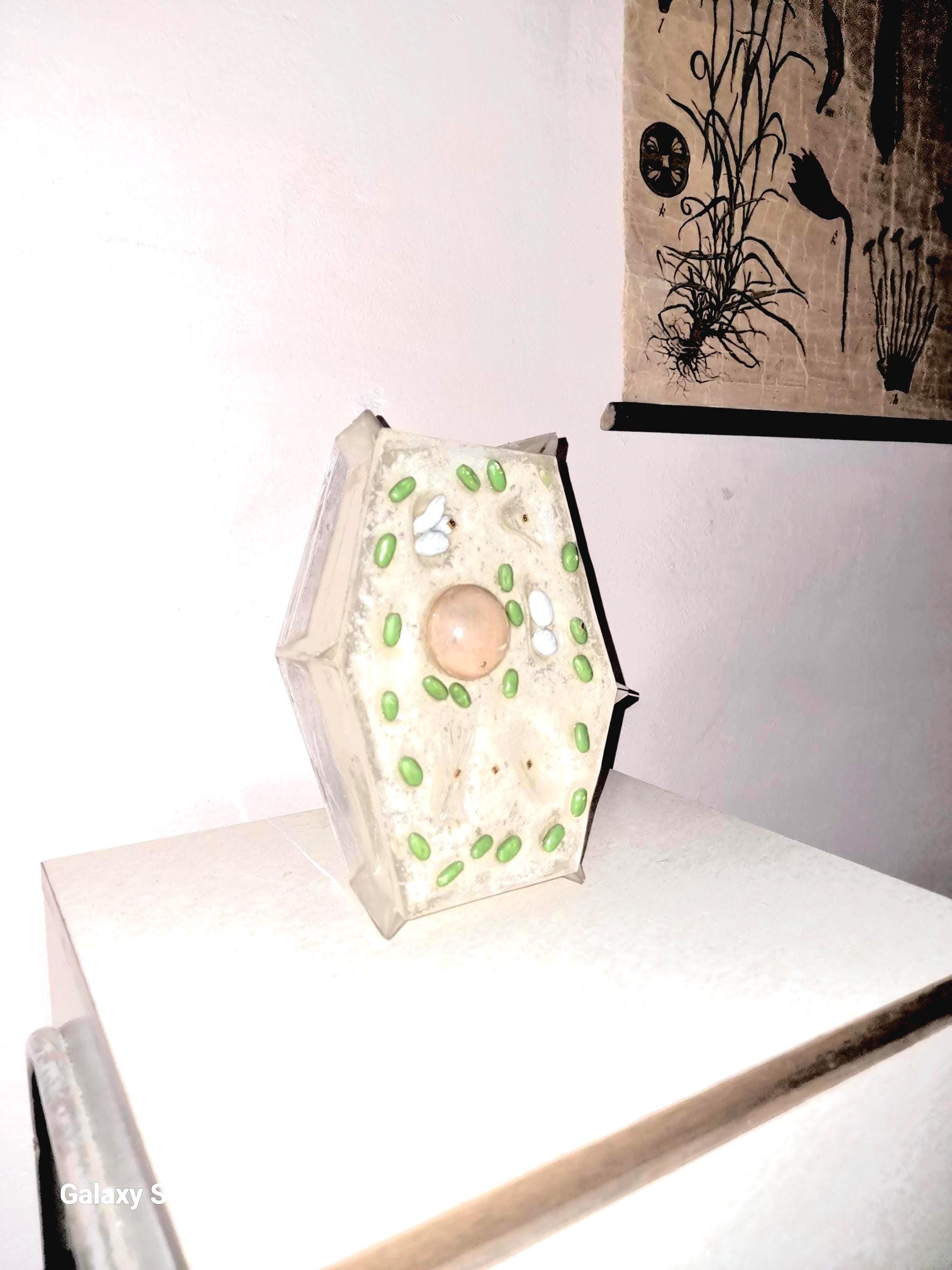 Vintage Model of Plant Cell - Etsy