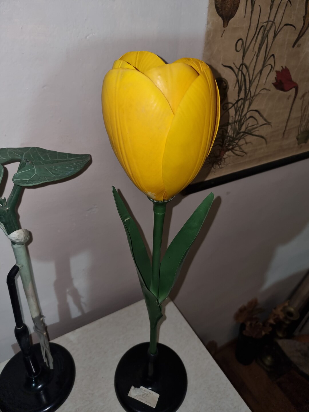 Vintage Botanical Pattern. Retro Celluloid Pattern - Tulip Color - Etsy