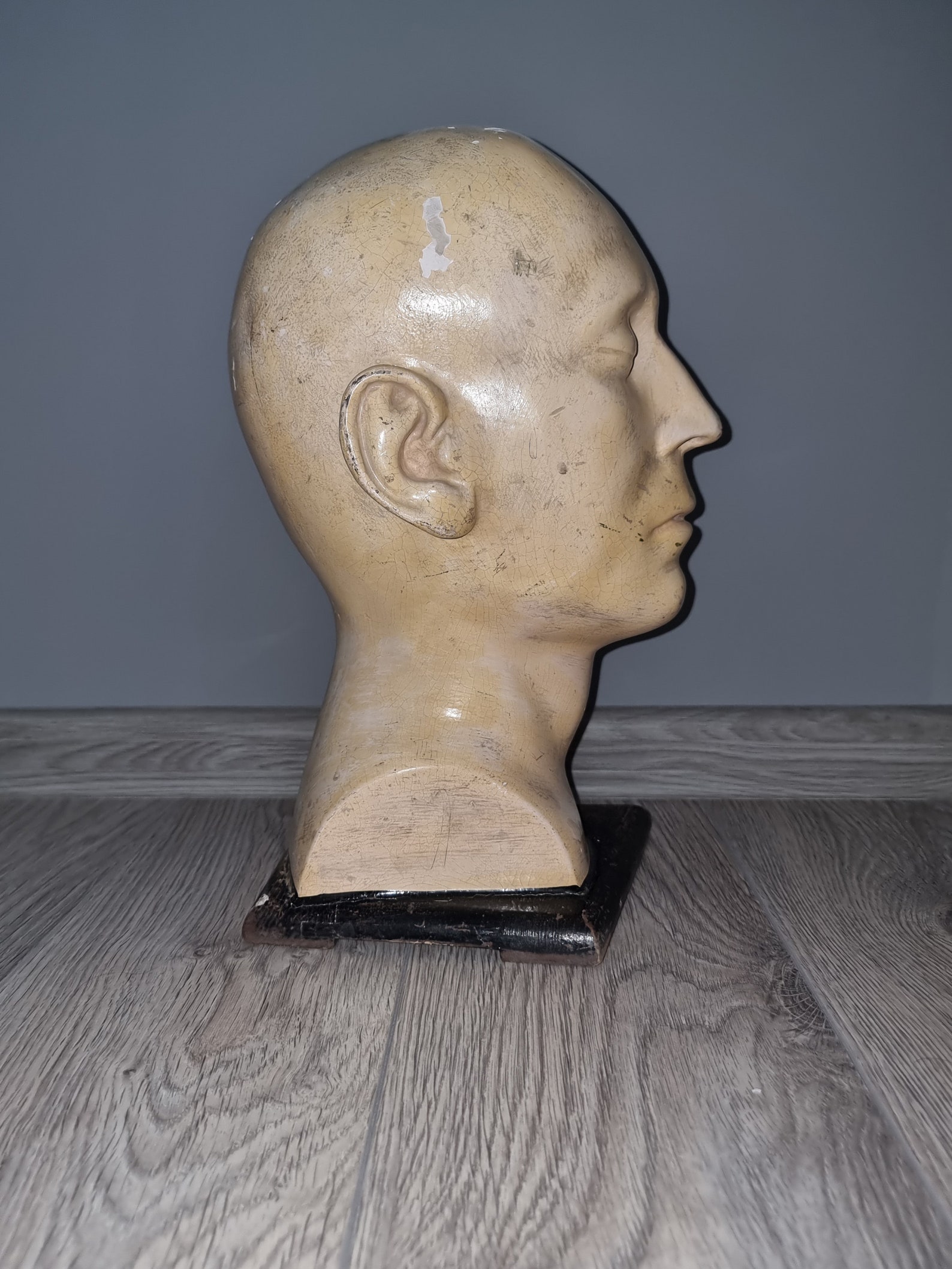 Antique Anatomical Model of a Human Head 1880. Sculpture. Life Sizean ...