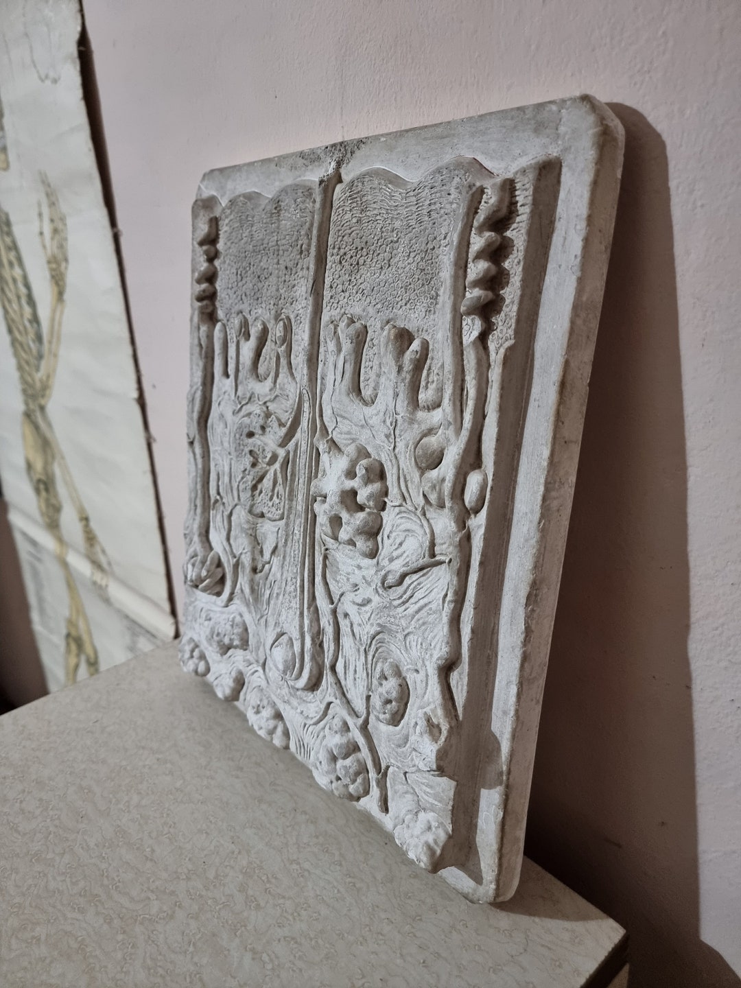 Antique Anatomical Model of Human Skin - Etsy