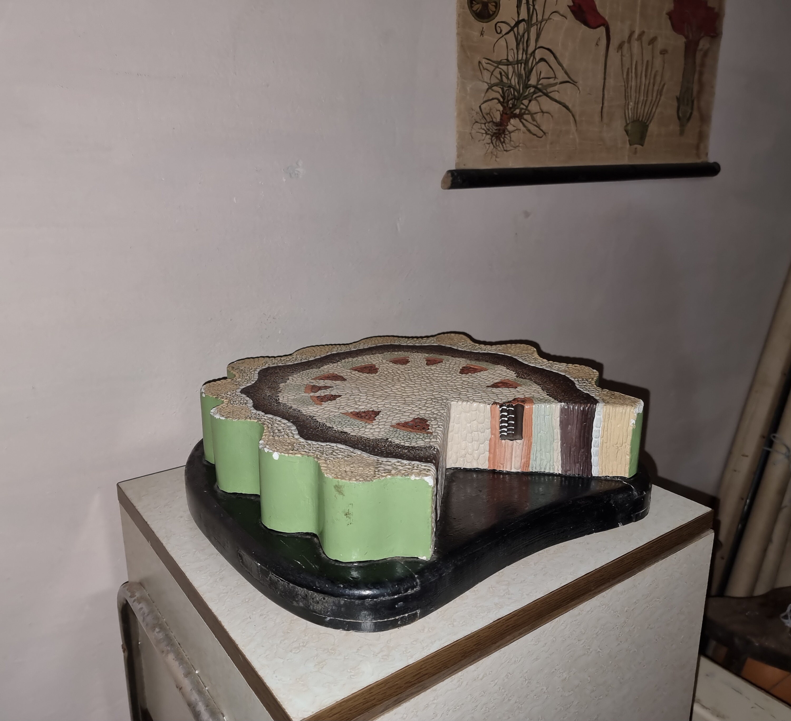 Vintage Botanical Model Plant Anatomy - Etsy