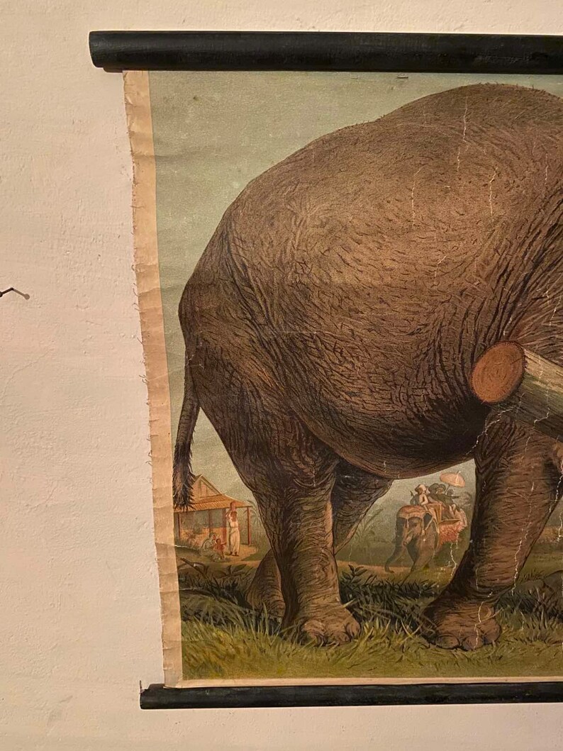 Vintage Educational Wall Chart, Poster, Picture - Etsy