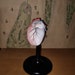 Vintage Anatomical Model of a Dog's Heart - Etsy