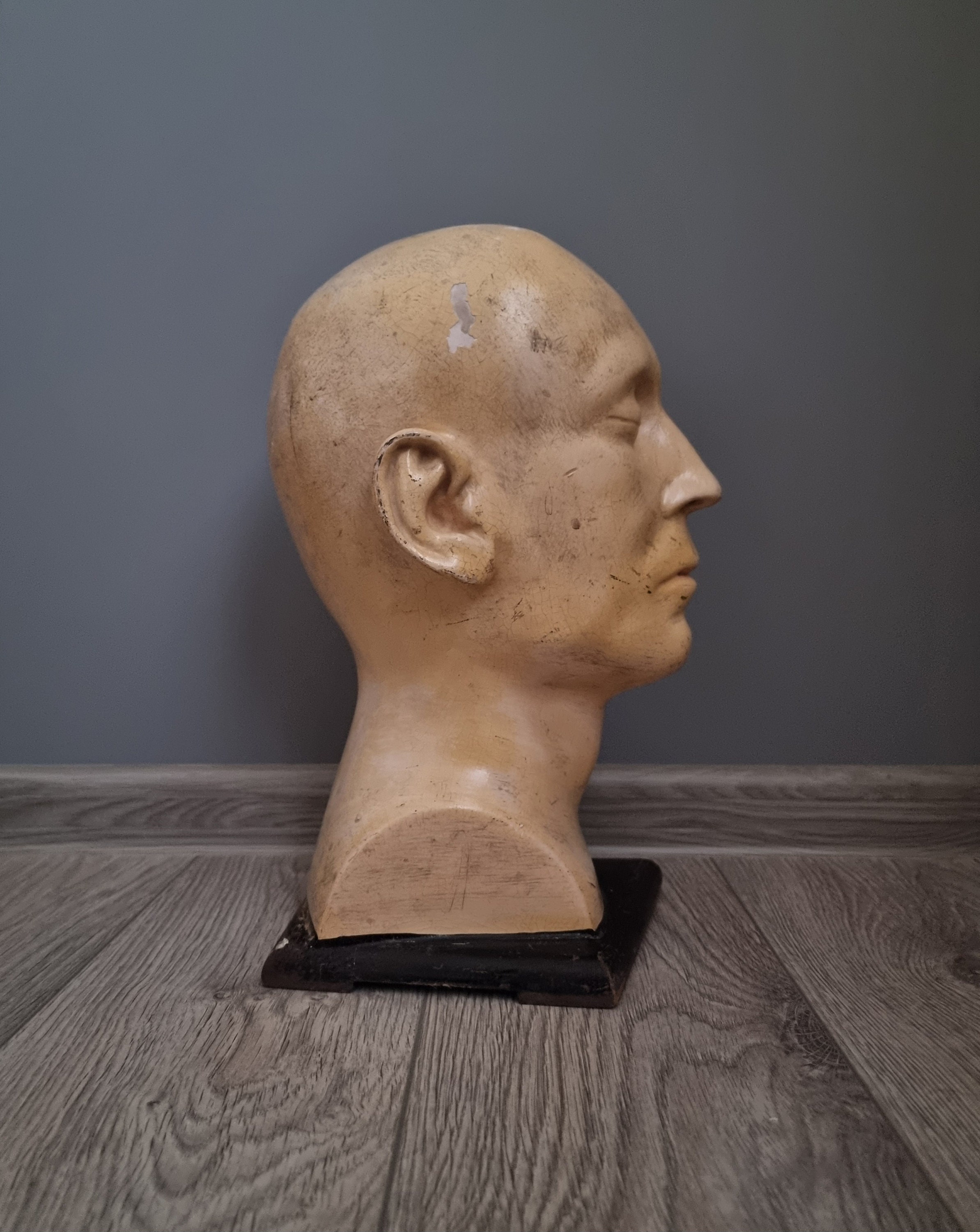 Antique Anatomical Model of a Human Head 1880. Sculpture. Life Sizean ...